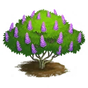 Vitex Tree | FarmVille 2 Wiki | Fandom