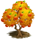 Blood Orange Tree | FarmVille 2 Wiki | Fandom
