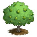 Panache Fig Tree | FarmVille 2 Wiki | Fandom