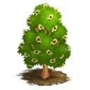 Rainbow Eucalyptus Tree | FarmVille 2 Wiki | Fandom