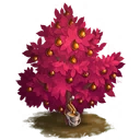 Black Gum Tree | FarmVille 2 Wiki | Fandom
