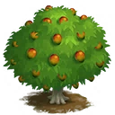 Mango Tree | FarmVille 2 Wiki | Fandom
