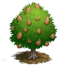 Almond Tree | FarmVille 2 Wiki | Fandom