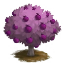 Plum Tree | FarmVille 2 Wiki | Fandom
