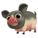 Hainan Pig | FarmVille 2 Wiki | Fandom