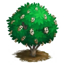 Chinese Fringe Tree | FarmVille 2 Wiki | Fandom