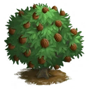 Walnut Tree | FarmVille 2 Wiki | Fandom