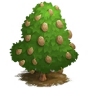 Nutmeg Tree | FarmVille 2 Wiki | Fandom