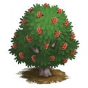 Walter's Pine Tree | FarmVille 2 Wiki | Fandom