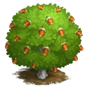 White Oak Tree | FarmVille 2 Wiki | Fandom