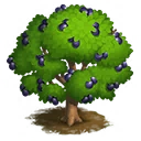 Mayweather Damson Tree | FarmVille 2 Wiki | Fandom