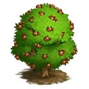 Macadamia Tree | FarmVille 2 Wiki | Fandom