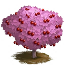 Cherry Tree | FarmVille 2 Wiki | Fandom