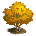 Autumn Moon Maple Tree | FarmVille 2 Wiki | Fandom