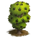 Avocado Tree | FarmVille 2 Wiki | Fandom