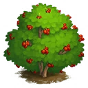 European Cornel Tree | FarmVille 2 Wiki | Fandom