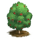Coffee Tree | FarmVille 2 Wiki | Fandom