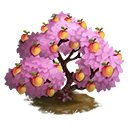Chinese Plum Tree | FarmVille 2 Wiki | Fandom