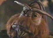 Ka D'Argo | Farscape Encyclopedia Project | Fandom