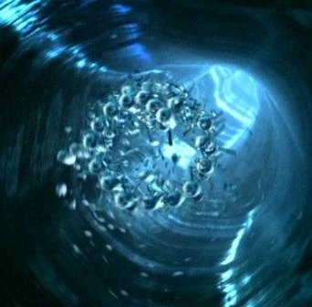 Pathfinder vessel | Farscape Encyclopedia Project | Fandom