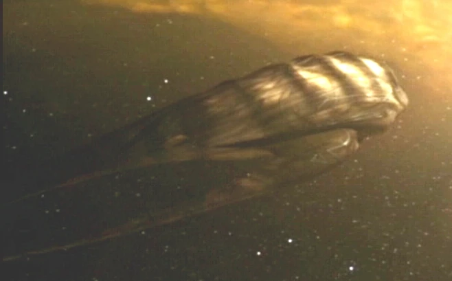 Elack | Farscape Encyclopedia Project | Fandom