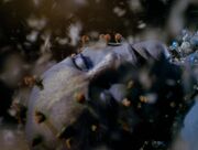 Delvian | Farscape Encyclopedia Project | Fandom