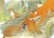 Lean Vixen | Farthing Wood Wiki | Fandom