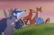 Fox | Farthing Wood Wiki | Fandom