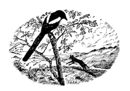 The Fox Cub Bold | Farthing Wood Wiki | Fandom