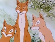 Fox | Farthing Wood Wiki | Fandom