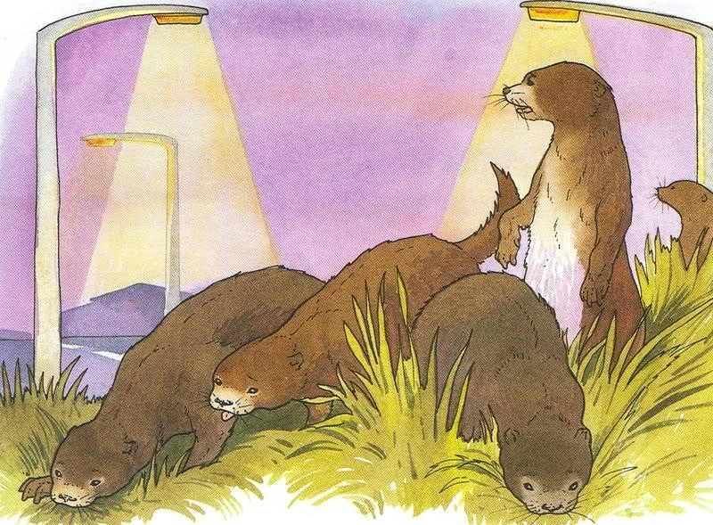 Farthing Wood Otters | Farthing Wood Wiki | Fandom