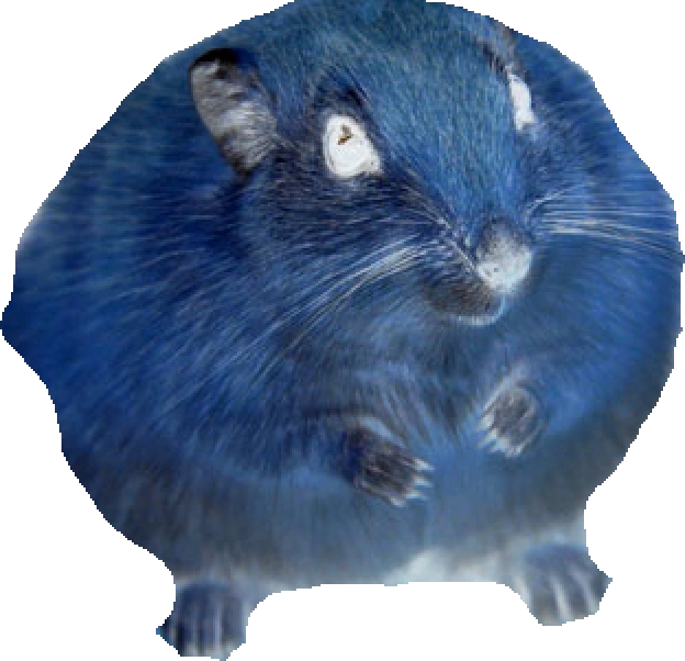 Tar Dnas Taf | Fat Sand Rat Wiki | Fandom