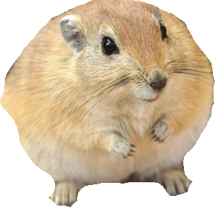 Fat Sand Rat | Fat Sand Rat Wiki | Fandom
