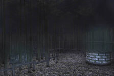 Himuro Mansion | Fatal Frame Wiki | Fandom