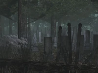 Minakami Village | Fatal Frame Wiki | Fandom