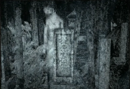 Grave Shadow | Fatal Frame Wiki | Fandom