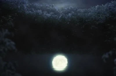 Hallowed Realm | Fatal Frame Wiki | Fandom