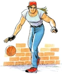 Terry Bogard | Fatal Fury Wiki | Fandom