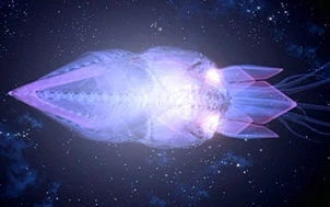 Cetus | Fate of the Known Worlds Wiki | Fandom