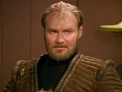 Talarian | Fate of the Known Worlds Wiki | Fandom