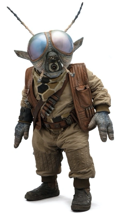 Cyclorrian | Fate of the Known Worlds Wiki | Fandom