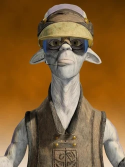 Er'Kit | Fate of the Known Worlds Wiki | Fandom