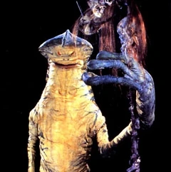 Amanaman | Fate of the Known Worlds Wiki | Fandom