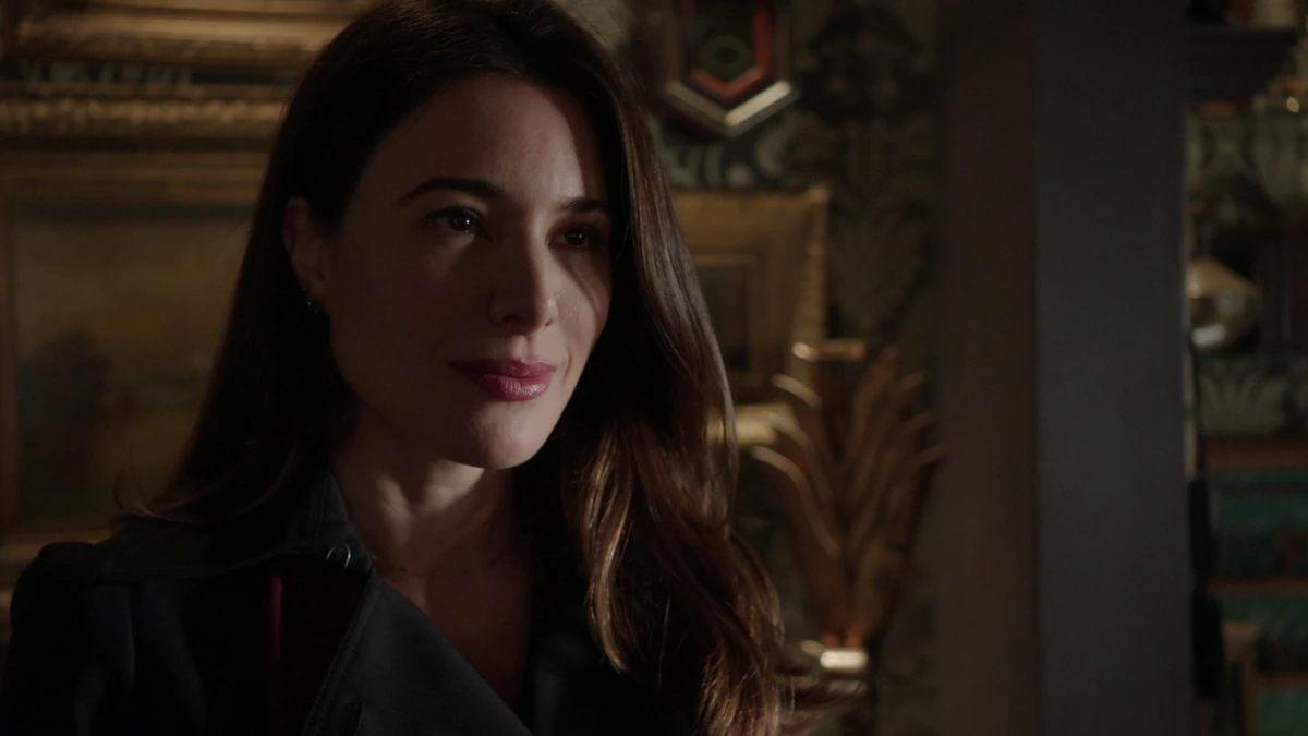 Black Fairy | Fate of the Multiverse Wiki | Fandom