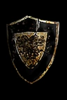 Crusader Shield | Fate Wiki | Fandom