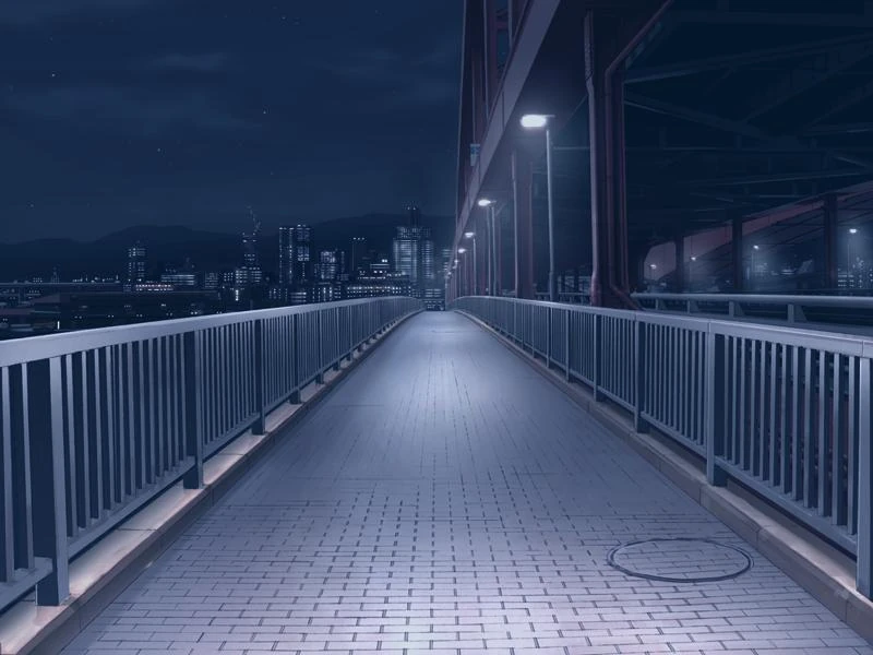 Fuyuki-Brücke | Fate Wiki | Fandom