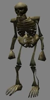 Skeleton | Fate Wiki | Fandom