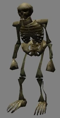 Skeleton | Fate Wiki | Fandom