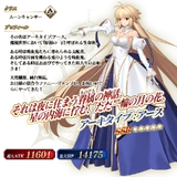 Archetype: Earth | Fate/Grand Order Wiki | Fandom