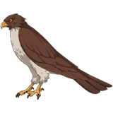 Sub:Sitonai/Gallery | Fate/Grand Order Wiki | Fandom